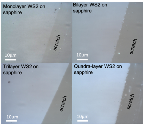 WS2 Film – MoS2, WS2, MoSe2, WSe2 and Heterostrucrures Wafers